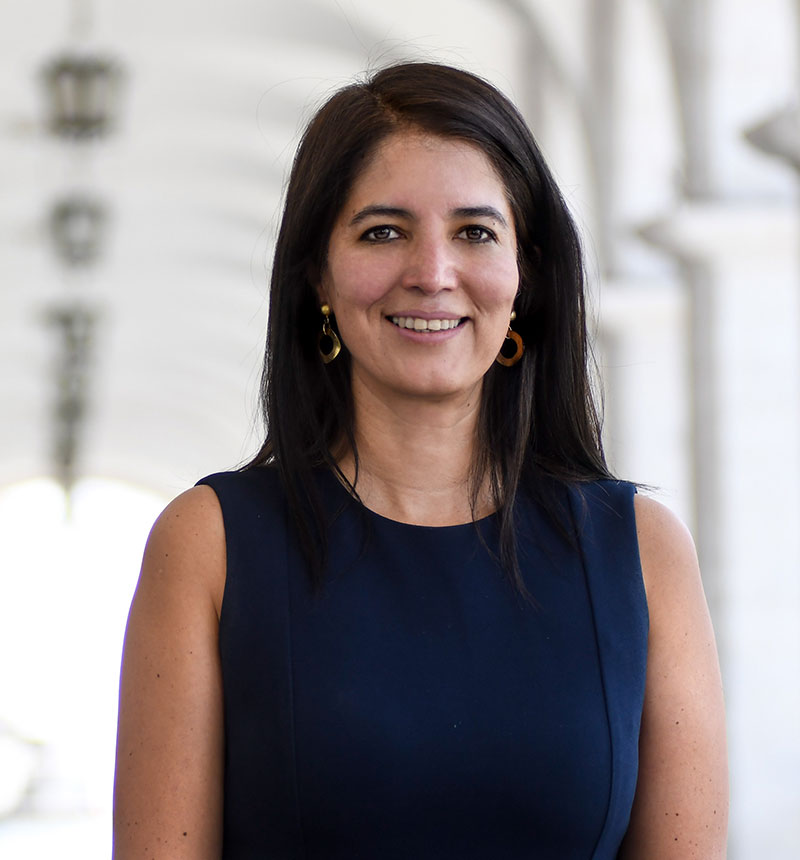 Comité Organizador – Simposio | XV Encuentro Internacional de Minería